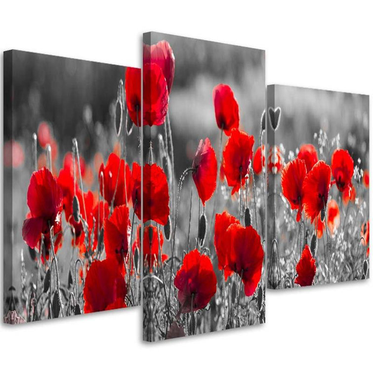 17 Stories Red Poppies - 3 Piece Wrapped Canvas Photograph | Wayfair.co.uk